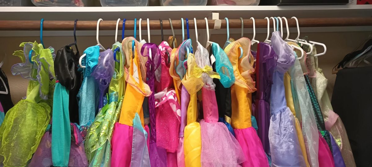 Bee Spa-Tacular Mobile Spa LLC